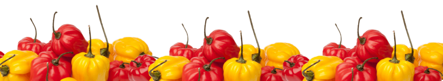 1 Dozen Cocktail Patties - Negril - The Jamaican Eatery